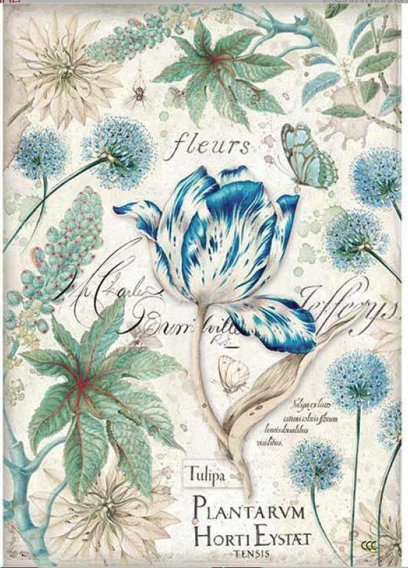 Stamperia Rice Paper